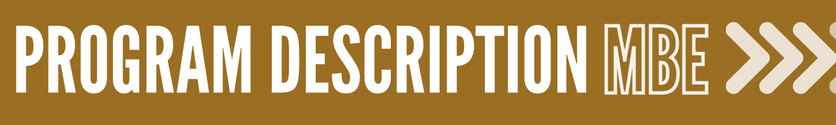 WISDP MBE Program Description